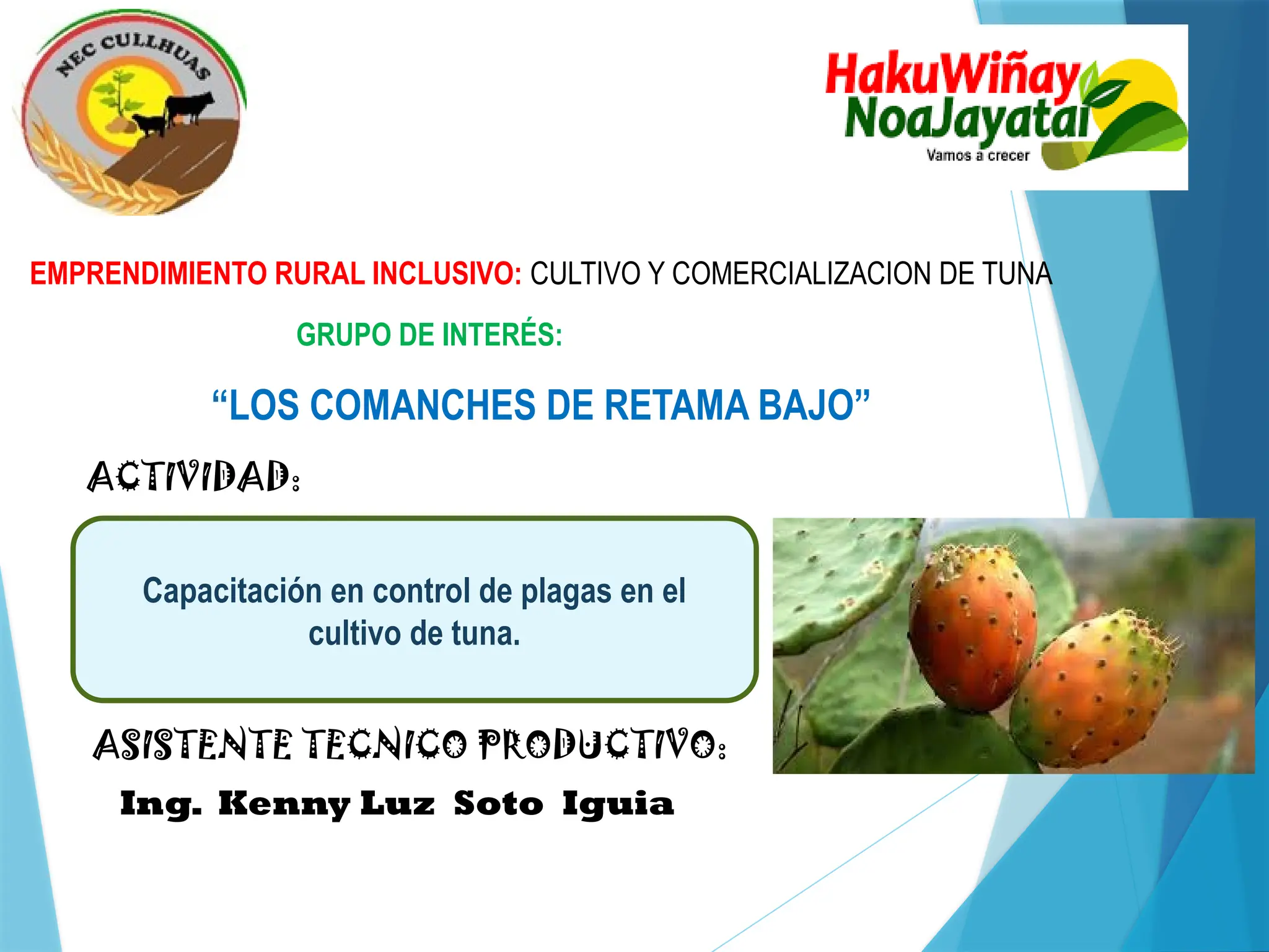 Plagas de la tuna del cultivo de tuna en el peru | PPTX