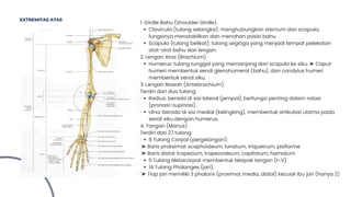 Anatomy and Clicical Aspect of Musculoskeletal System - PPT Remedial | PDF