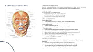 Anatomy and Clicical Aspect of Musculoskeletal System - PPT Remedial | PDF