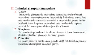 Sistemul muscular -Prezentare PowerPoint | PPTX