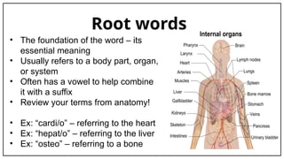 N231 Medical Terminology.pptx Nursing 231 SIUE | PPT