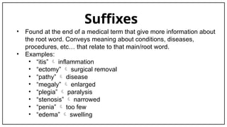 N231 Medical Terminology.pptx Nursing 231 SIUE | PPT