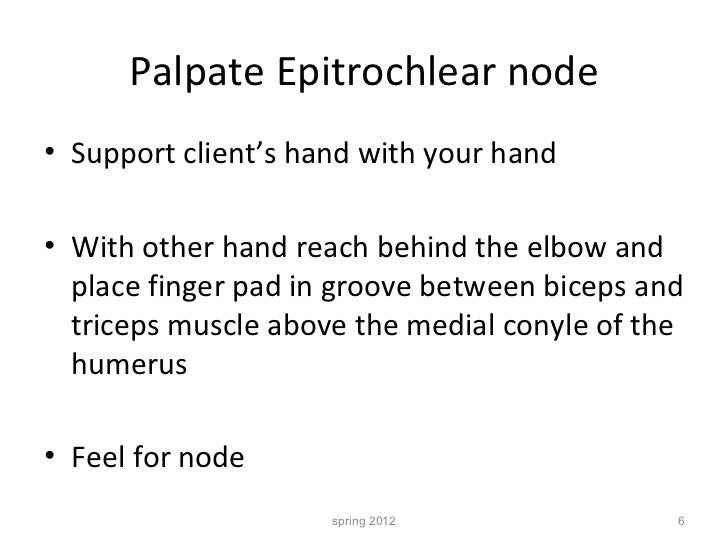 N 295 lecture 10 peripheral vasc student copy