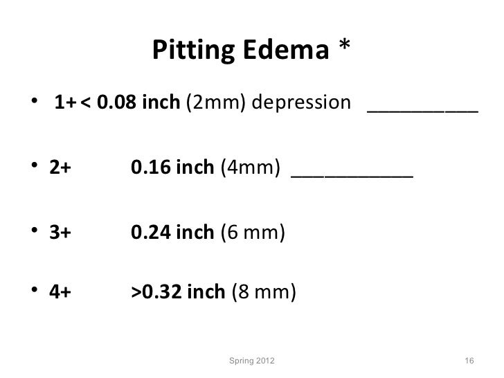 N 295 lecture 3 skin student copy