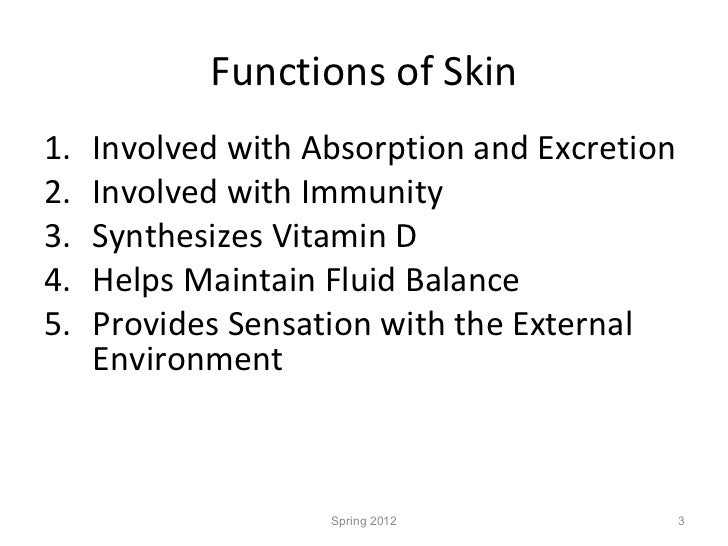 N 295 lecture 3 skin student copy