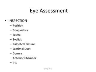 N 295 lecture 5 6 eye and ear student copy | PPT | Eye and Vision ...