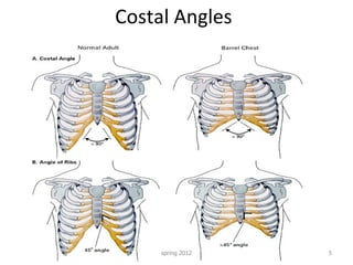 N 295 lecture 7 respiratory student copy | PPT