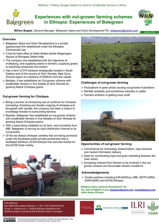 Experiences with out-grower farming schemes in Ethiopia: Experiences of ...