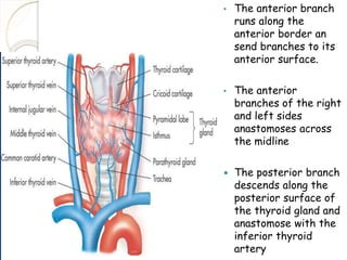 Thyroid_gland.pptx