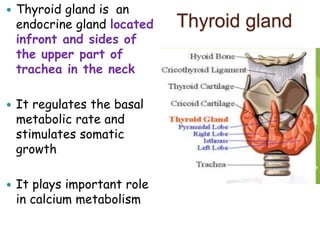 Thyroid_gland.pptx