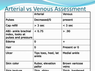 N325 peripheral vascular student version | PPT