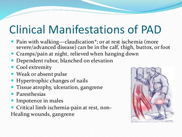 N325 peripheral vascular student version