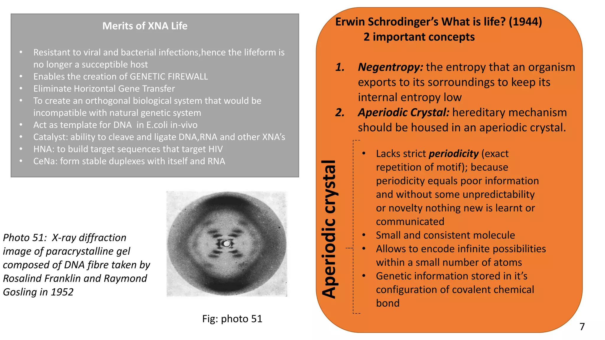 Expanding the Genetic Code | PPTX