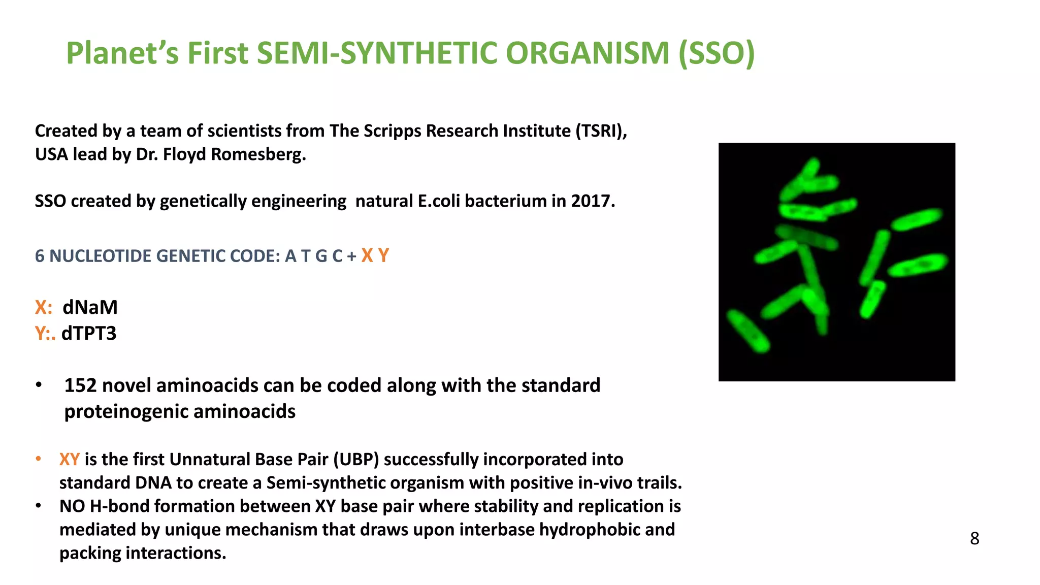 Expanding the Genetic Code | PPTX