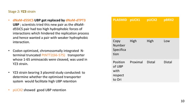 Expanding the Genetic Code | PPTX
