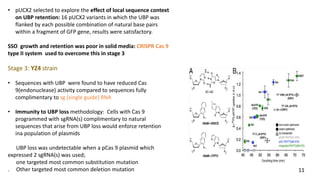 Expanding the Genetic Code | PPTX