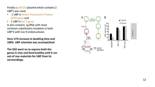 Expanding the Genetic Code | PPTX
