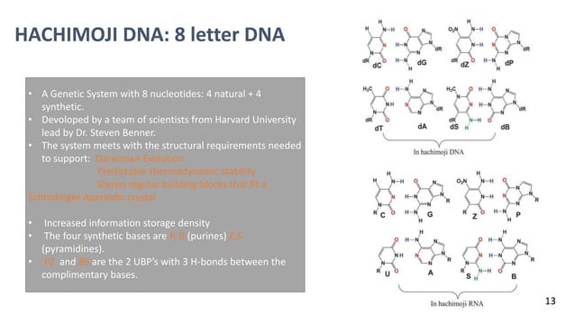 Expanding the Genetic Code | PPTX