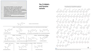 Expanding the Genetic Code | PPTX