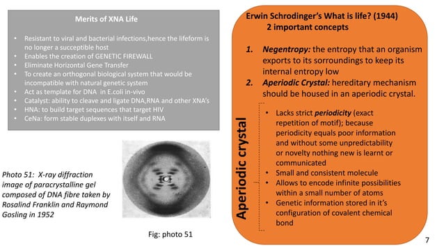 Expanding the Genetic Code | PPTX