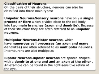 Nerve tissues (mic ana lec) | PPTX