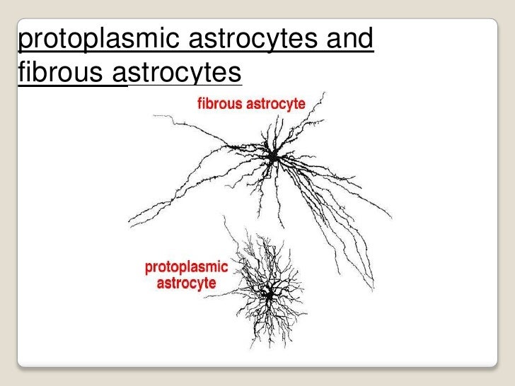 Nerve tissues (mic ana lec)