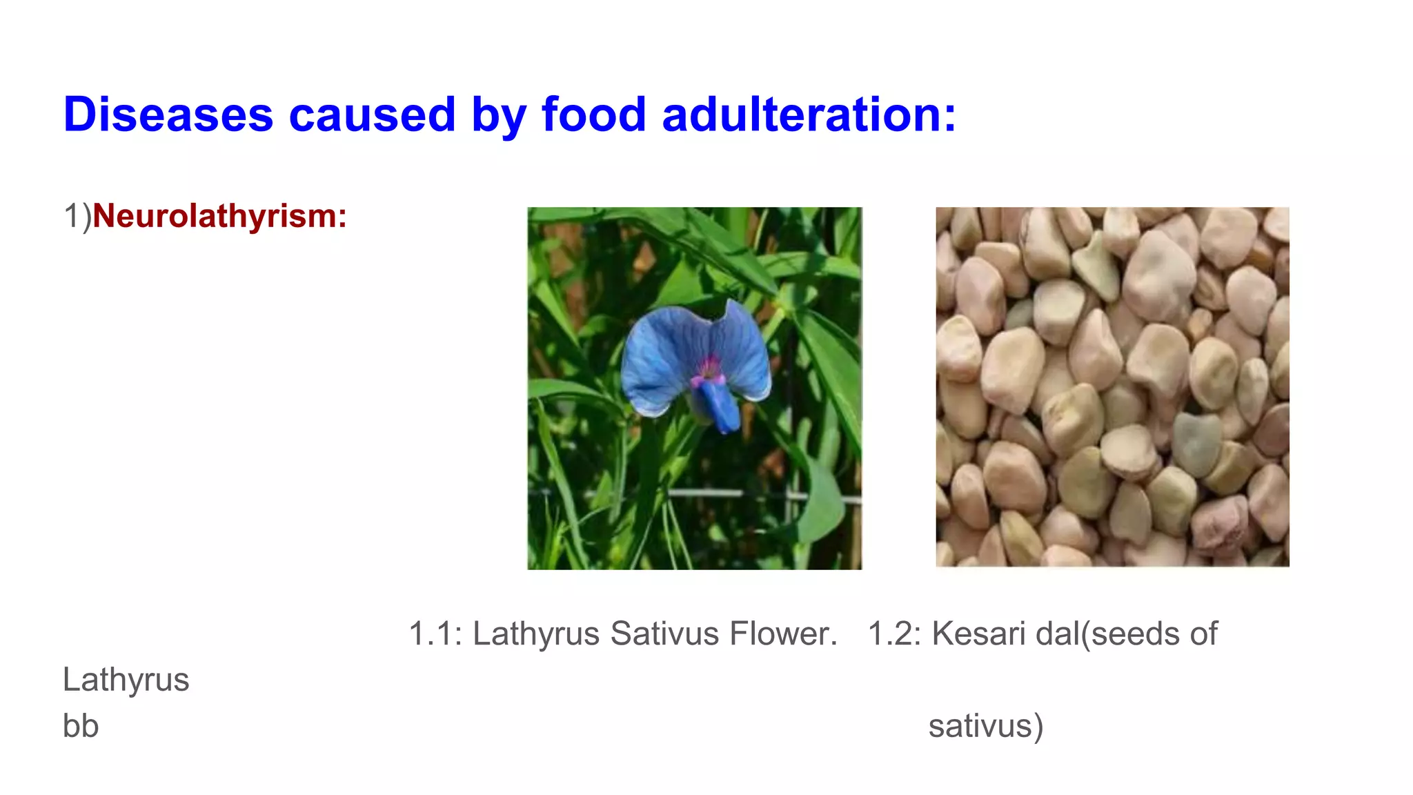 Food_Hygiene__Food_Adulteration_final_ppt.pptx