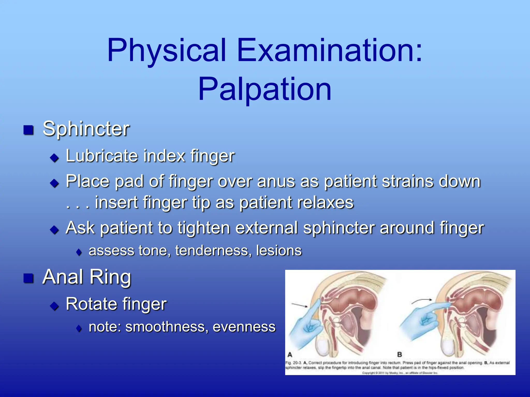 N544- Physical Assessment of the Male GU System, Anus, Rectum and ...