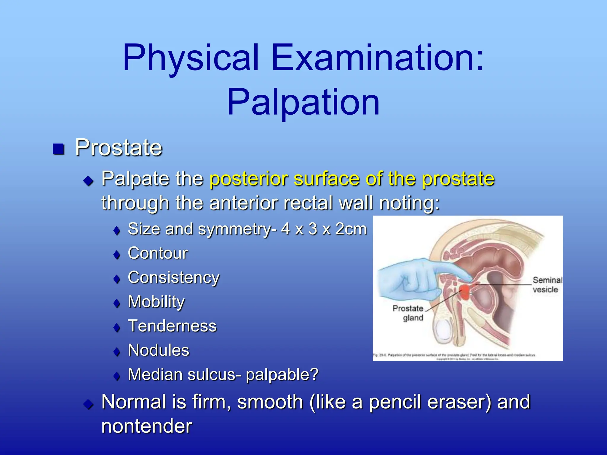 N544- Physical Assessment of the Male GU System, Anus, Rectum and ...