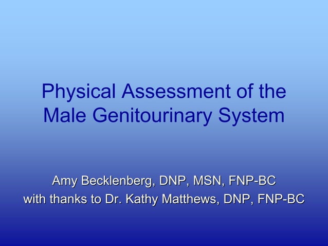 N544- Physical Assessment of the Male GU System, Anus, Rectum and ...