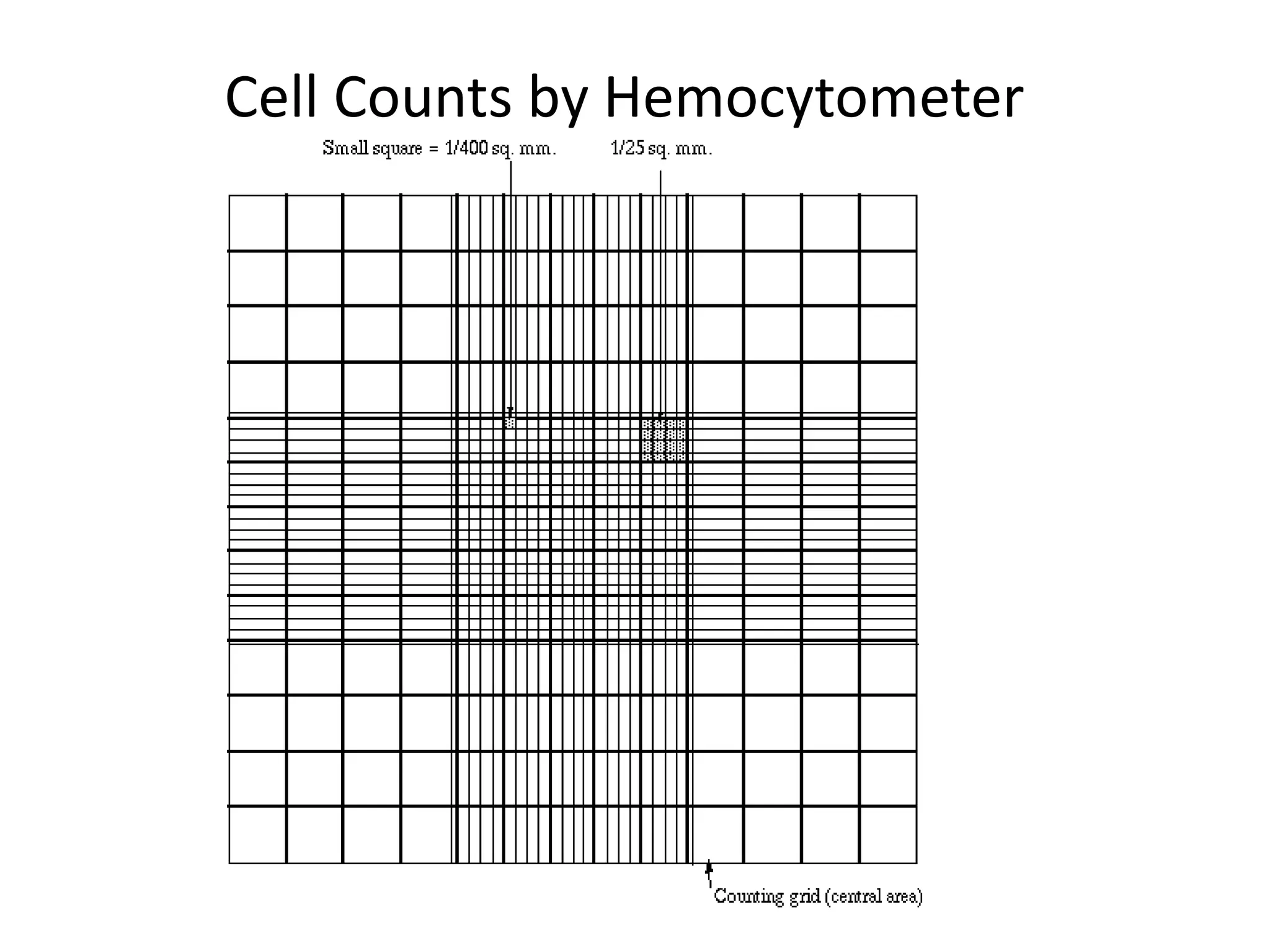 Hemocytometer | PDF