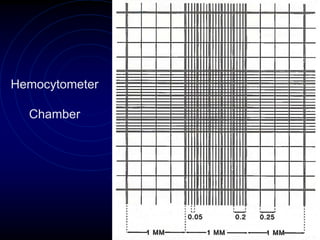 Hemocytometer | PDF