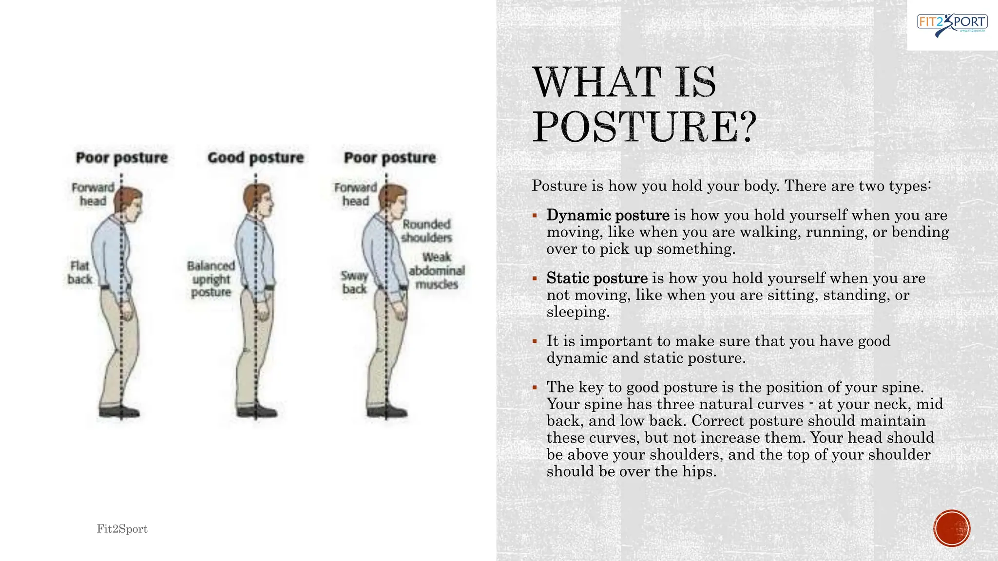 Posture__Functional_Fitness_(Final_for_Agashe).pptx