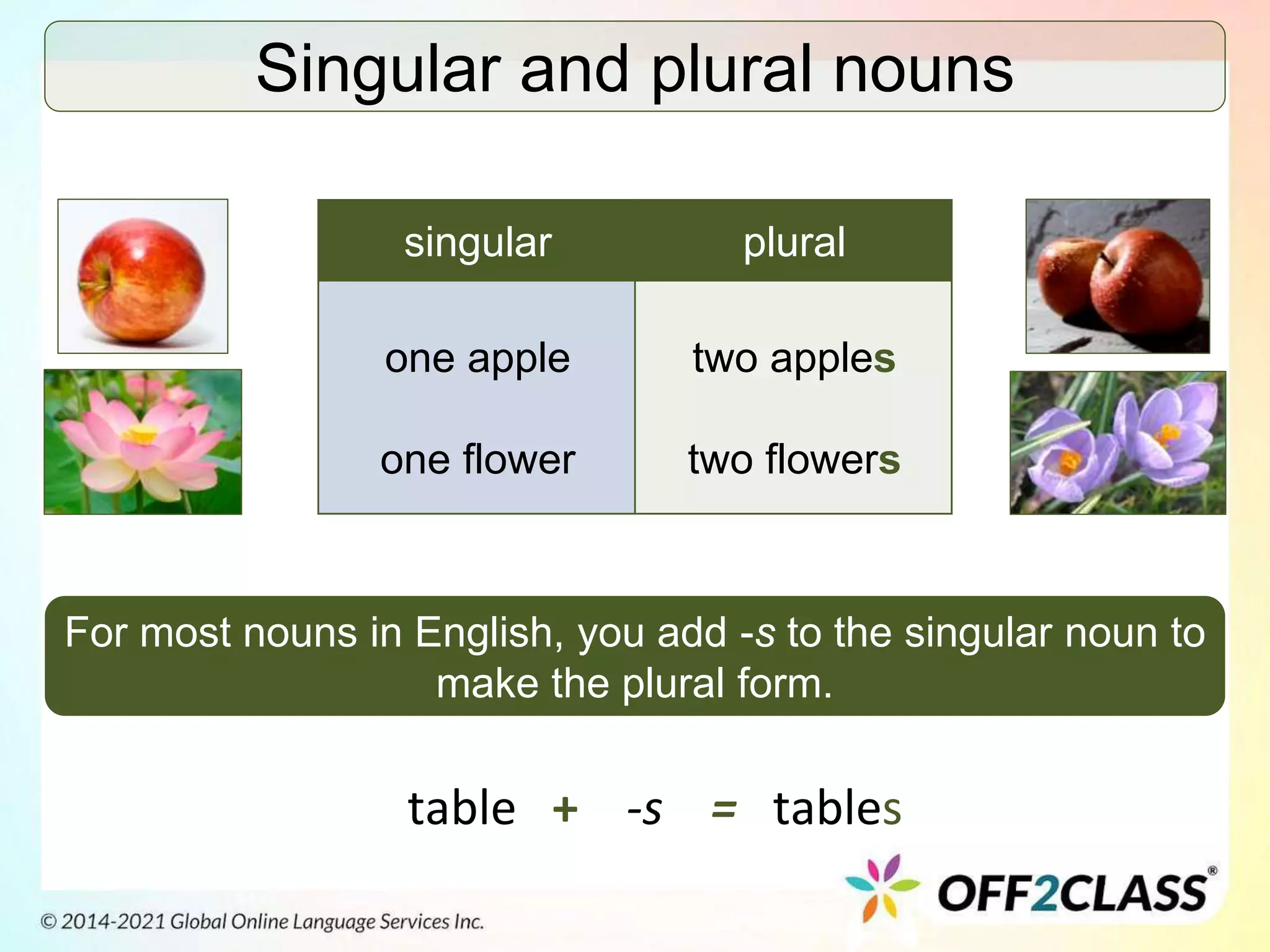 Singular And Plural Regular Nouns – Free ESL Lesson Plan | PPTX