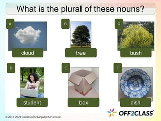 Singular And Plural Regular Nouns – Free ESL Lesson Plan | PPTX