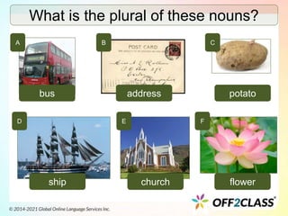 Singular And Plural Regular Nouns – Free ESL Lesson Plan | PPTX