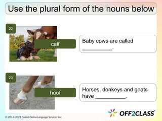 Singular And Plural Regular Nouns – Free ESL Lesson Plan | PPTX