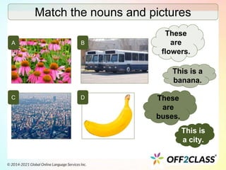 Singular And Plural Regular Nouns – Free ESL Lesson Plan | PPTX