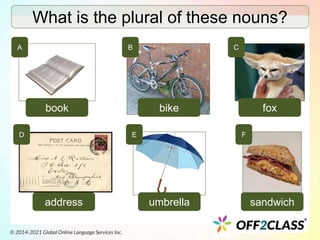 Singular And Plural Regular Nouns – Free ESL Lesson Plan | PPTX
