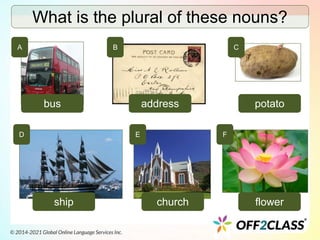 N6.1-Singular-Plural-Regular-Nouns.01.pptx.pdf