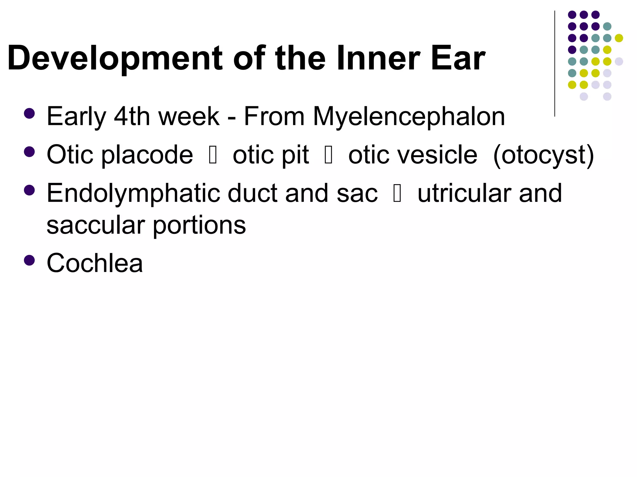 Embryology of the ear | PPT