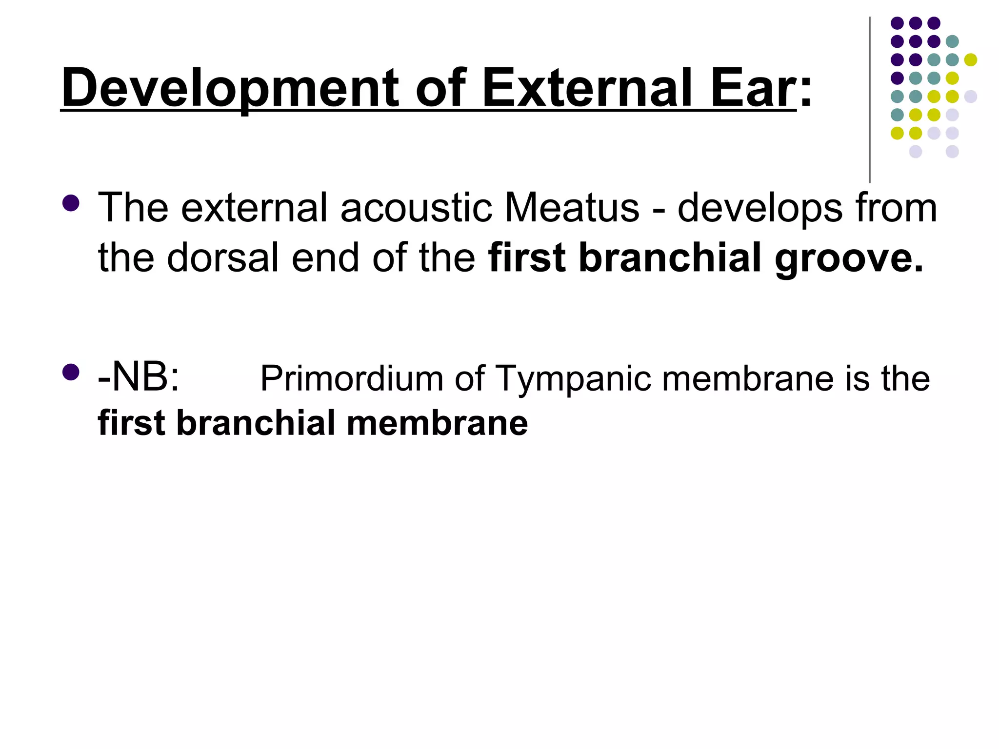 Embryology of the ear | PPT