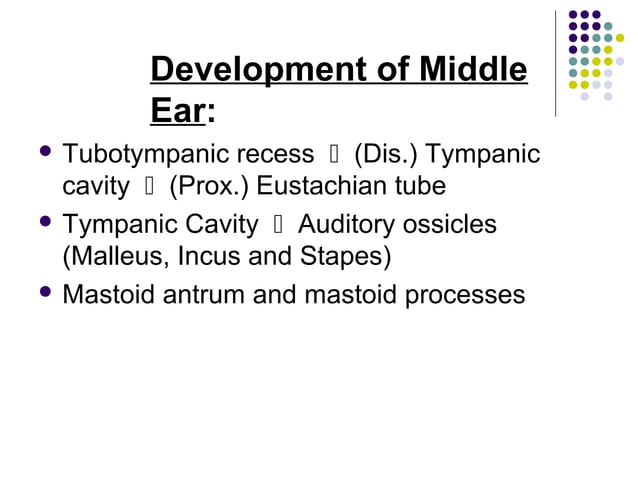 Embryology of the ear | PPT | Ear, Nose and Throat Conditions ...