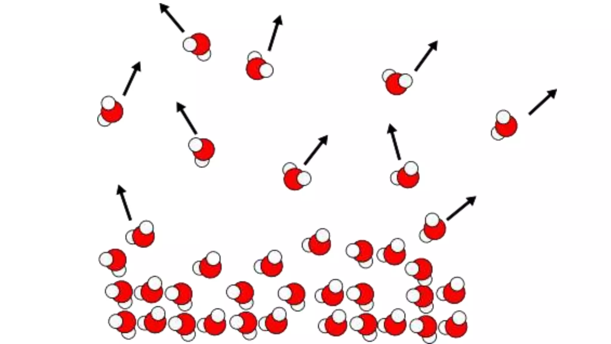 Why does sweating cool you down? | PPT