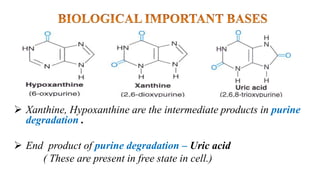 NA- 01: Chemistry of Nucleotides & It's clinical importance | PPT