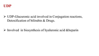 NA- 01: Chemistry of Nucleotides & It's clinical importance | PPT