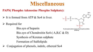 NA- 01: Chemistry of Nucleotides & It's clinical importance | PPT