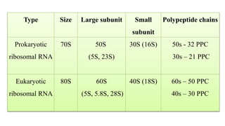 NA- 03: Ribonucleic acid (RNA) | PPTX | Programming Languages | Computing