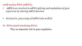NA- 03: Ribonucleic acid (RNA) | PPTX | Programming Languages | Computing