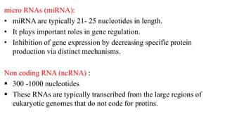 NA- 03: Ribonucleic acid (RNA) | PPTX | Programming Languages | Computing